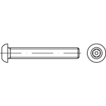 Diebstahlhemmende Flachkopfschrauben (~ISO 7380) ISK (~Inbus) mit Pin