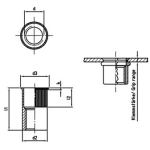 Nietmutter, Einnietmutter, kleiner Senkkopf, Rundschaft offen gerände