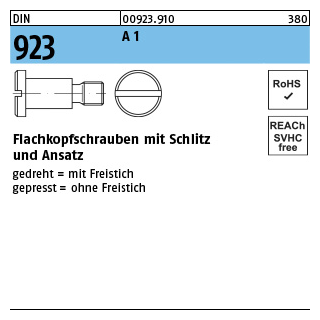 DIN 923 A 1 Flachkopfschrauben mit Schlitz und Ansatz - Abmessung: M