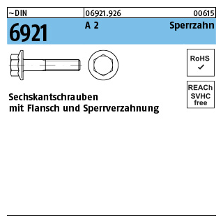 ~DIN 6921 A 2 Sperrzahn Sechskantschrauben mit Flansch Sperrverzahnun