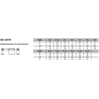 ISO 14579 A4 Zylinderschrauben mit Innensechsrund - Abmessung: M 2 x